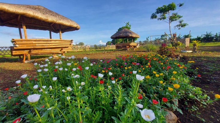 Cafe RoSa & Happy Beetle Farms: The Newest Agritourism Farm in Bicol