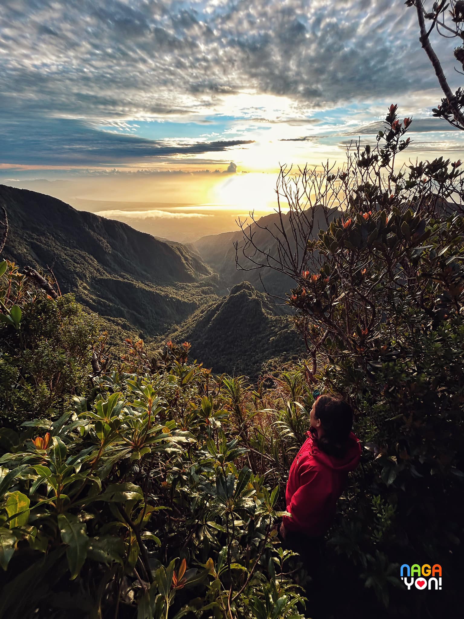 A Traveler’s Guide to Mt. Isarog National Park | Naga City Guide