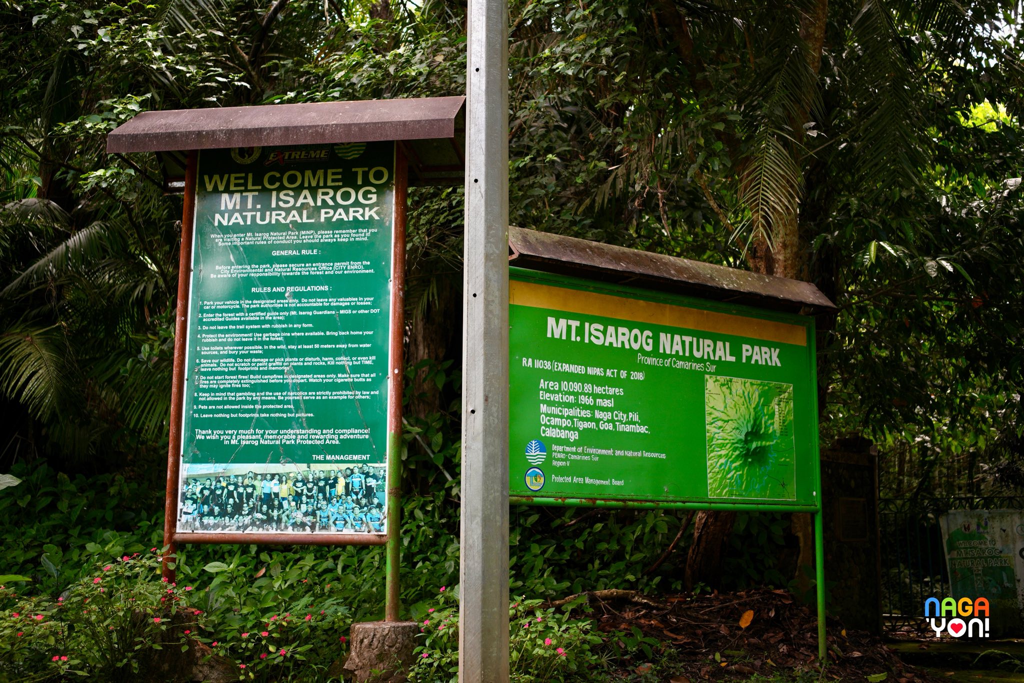 A Traveler’s Guide to Mt. Isarog National Park | Naga City Guide