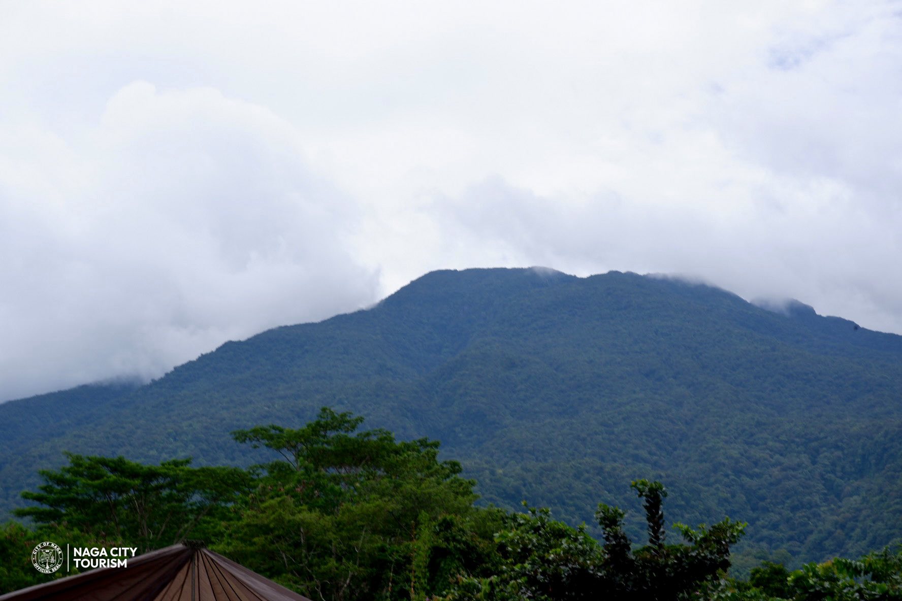 A Traveler’s Guide to Mt. Isarog National Park | Naga City Guide